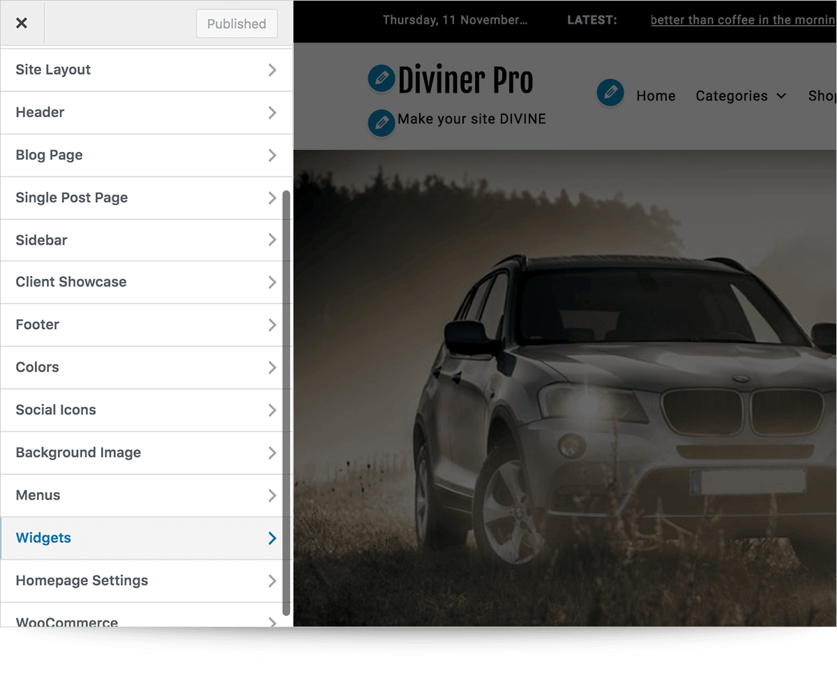 Diviner Pro WordPress Theme - IndiThemes