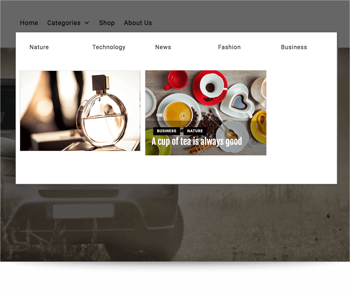 Diviner Pro WordPress Theme - IndiThemes