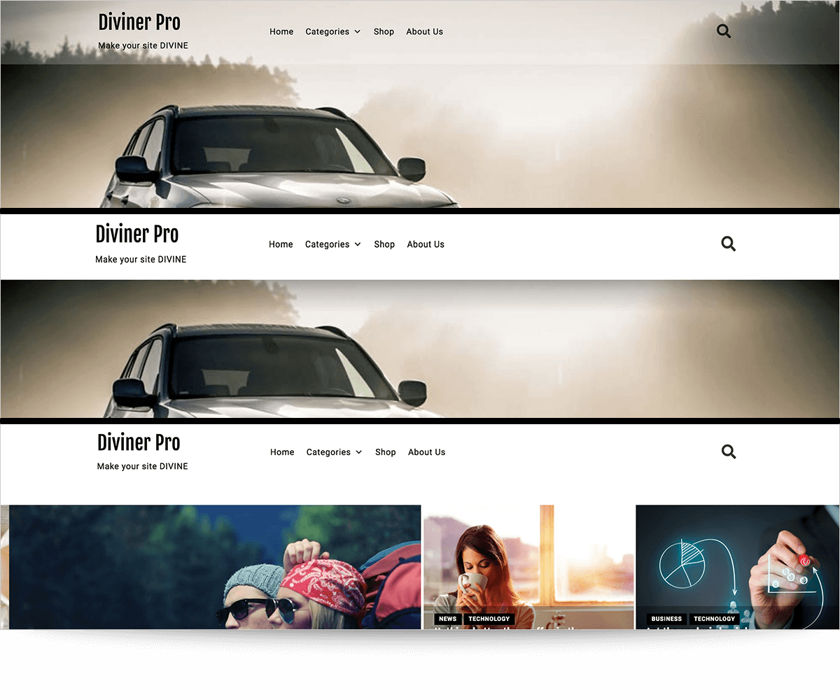 Diviner Pro WordPress Theme - IndiThemes