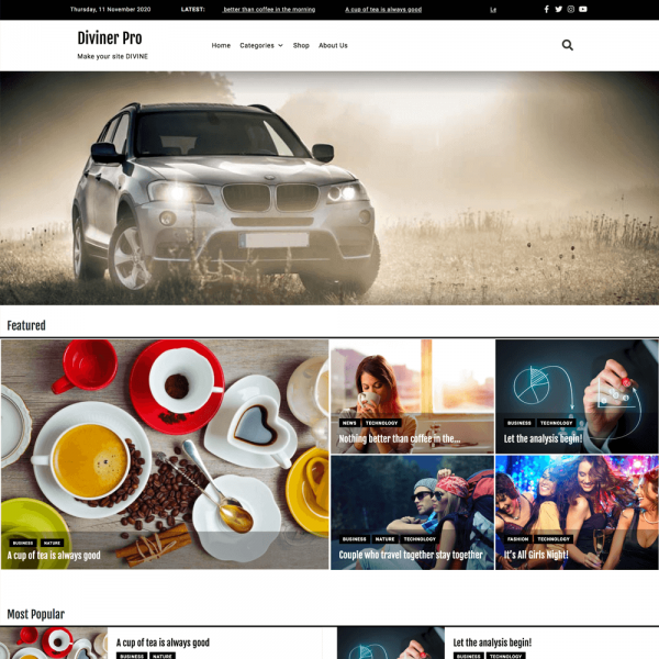 WordPress Themes - IndiThemes