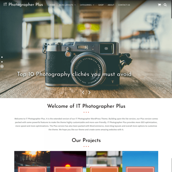 WordPress Themes - IndiThemes