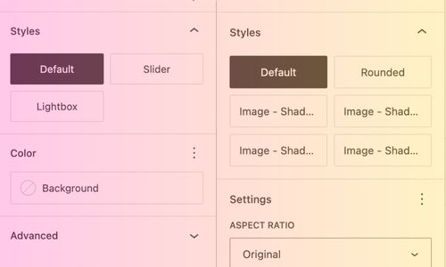 Proteus Pro WordPress Theme - IndiThemes